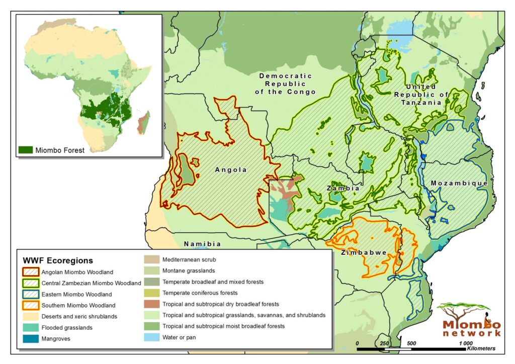 Miombo Network – SASSCAL
