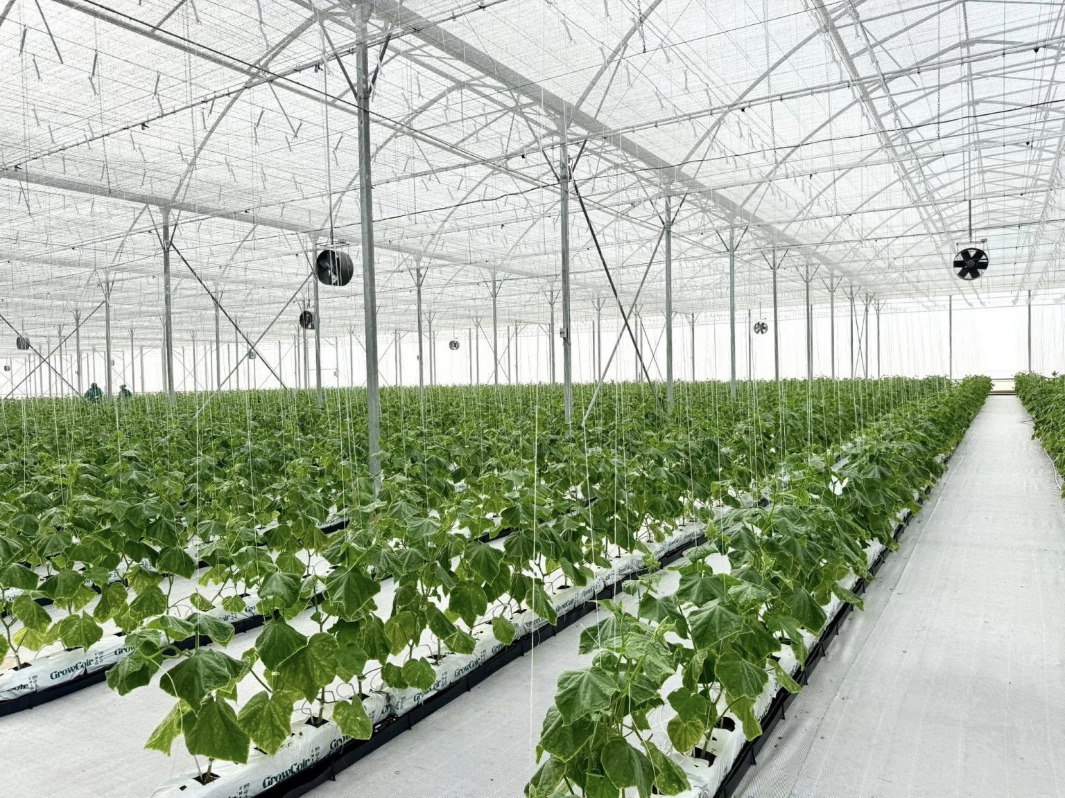 Driving Namibia’s Green Hydrogen Future: SASSCAL’s Site Visits to ...